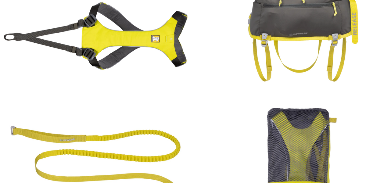 Sistema de Joring para Perros y Humanos en Amarillo Fosfo (Lichen Gree ...