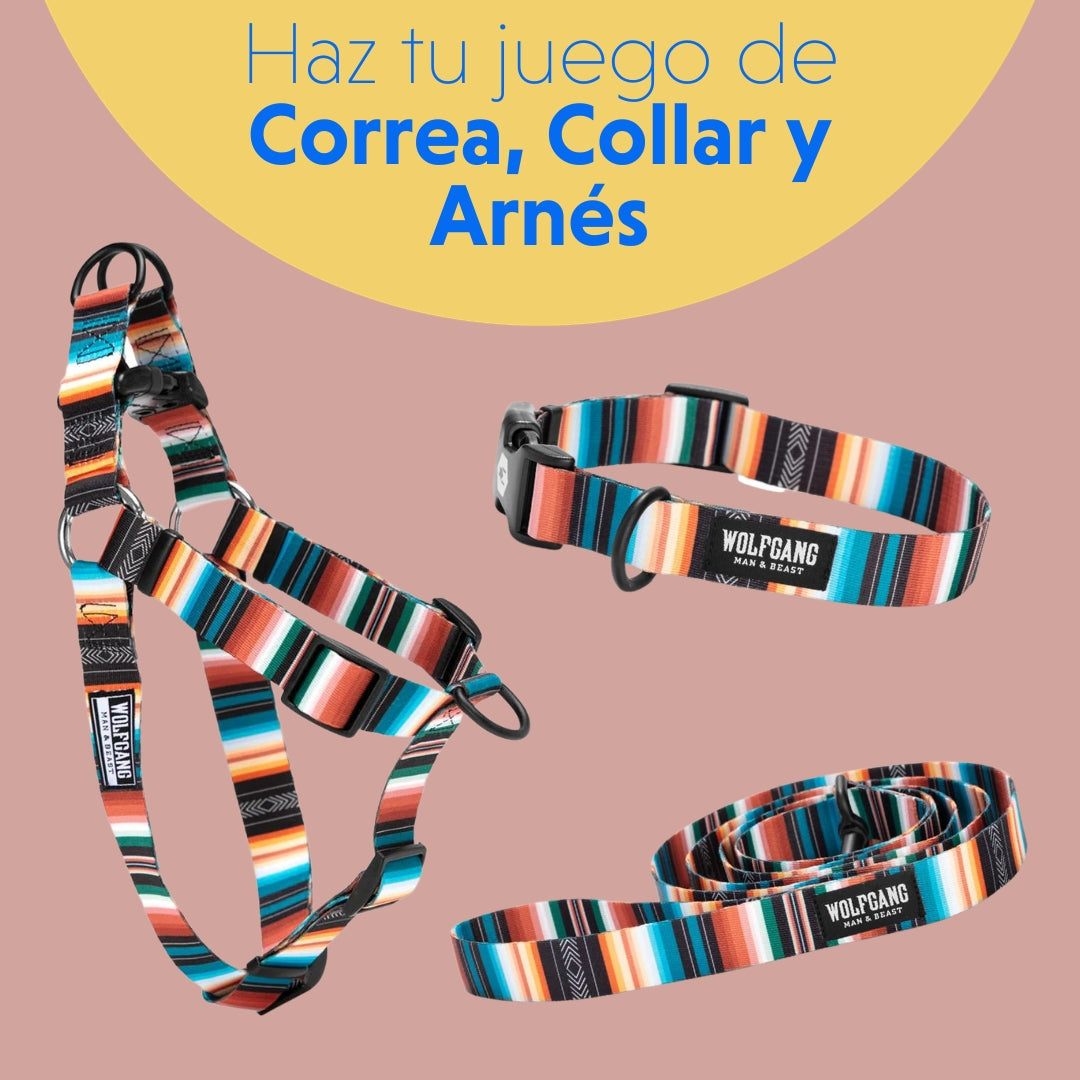 Kit Wolfgang - Collar, Correa y Arnés diseño LostArt — La Tienda de Frida & Chelsee