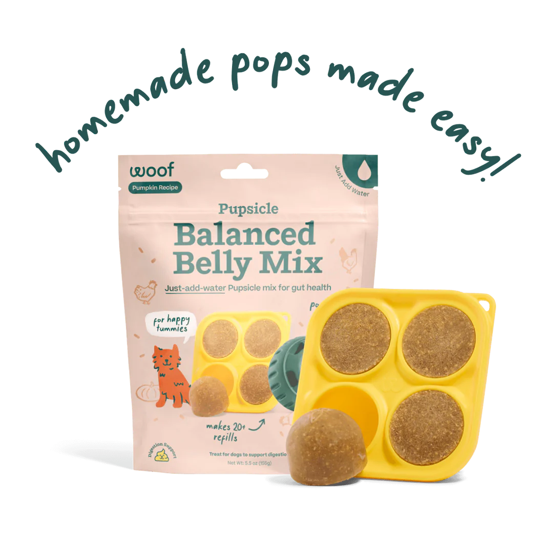 Pupsicle Pops para Barrigas Felices | Mezcla Casera para Digestión Sal ...