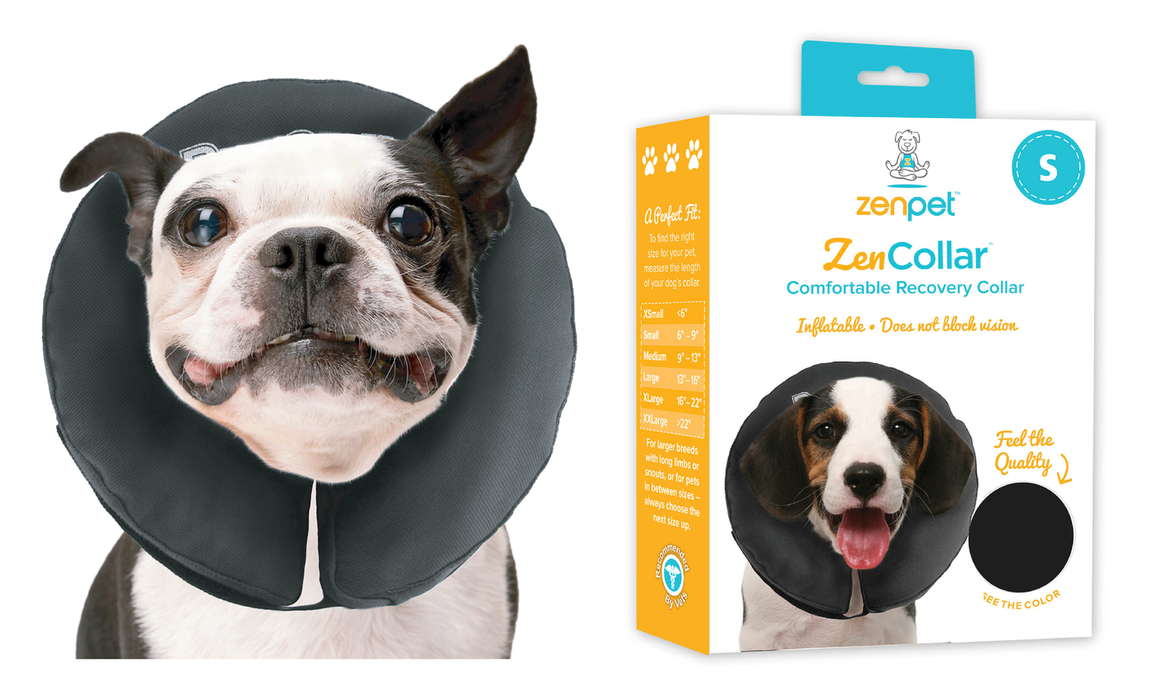 Collares Isabelinos: Recuperación Cómoda para Perros y Gatos — La ...