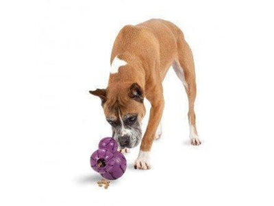 Juguete Para Perro Busy Buddy® Barnacle (Crustáceo) — La Tienda de ...