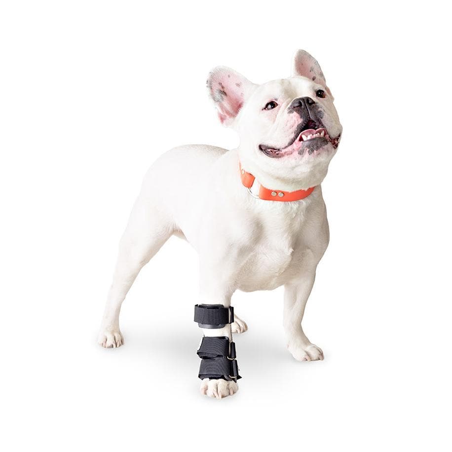 Ferula Carpiana Para Perro Walkin’ Carpal Splint de Walkin' Pets — La ...